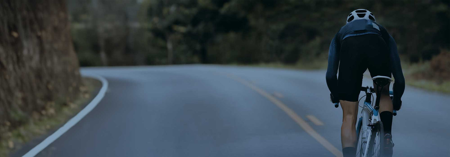 Saddle Sores & Friction Burns Causes, Symptoms, and Treatments