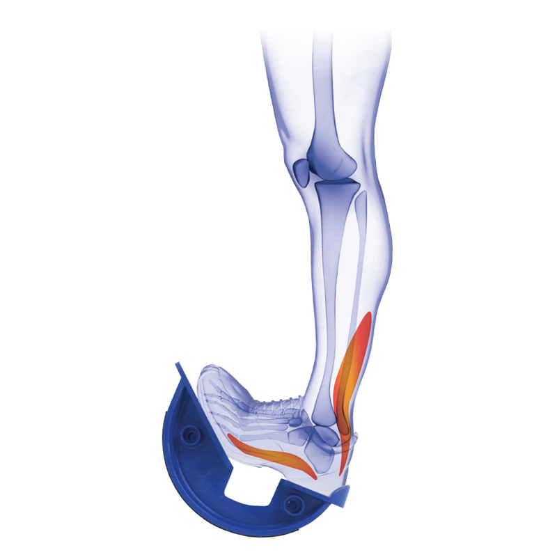 ProStretch Stretching Guide | Exercises | Medi-Dyne