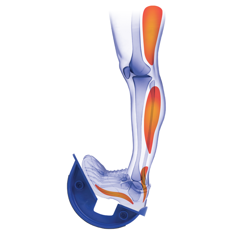 ProStretch Stretching Guide | Exercises | Medi-Dyne